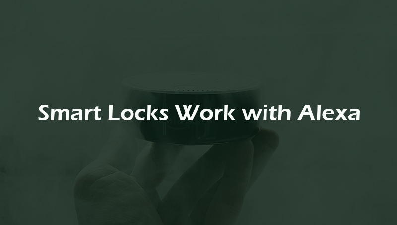 Top 4 Smart Locks for Alexa in 2020: Best Budget & Most Innovative Picks