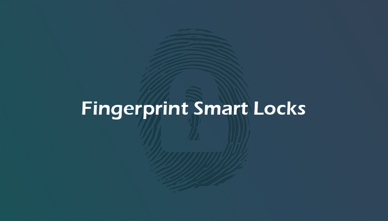 Fingerprint Smart Door Locks Best Guide: How They Work & Top Picks